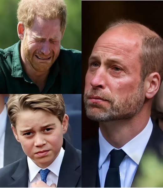 Sweet revenge! Prince Harry unleashed the hidden DNA results of Prince ...